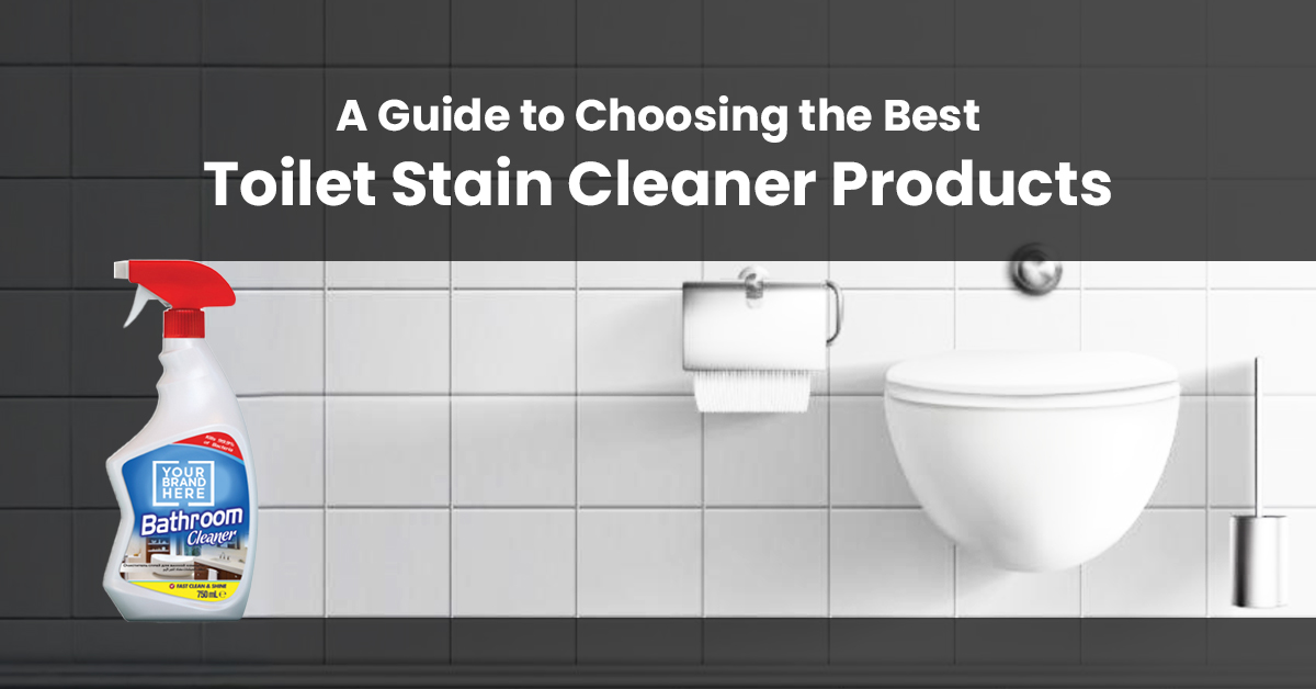 A Guide to Choosing the Best Toilet Stain Cleaner Products